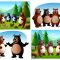 The Social Structure of Bear Populations